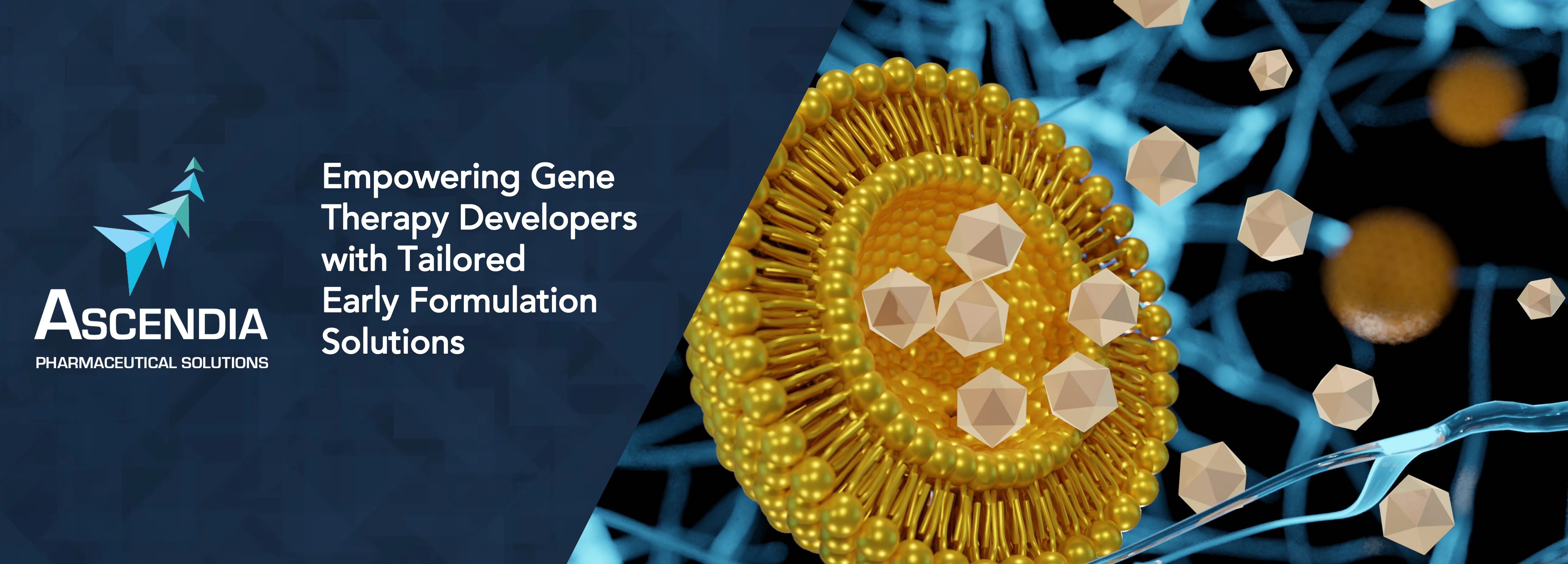 Empowering Gene Therapy Developers with Tailored Early Formulation Solutions